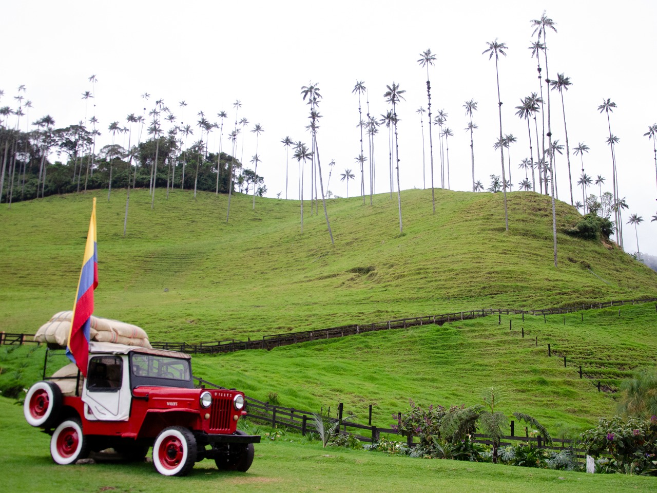 Day Trip To Filandia, Salento and Cocora Valley - Colombia Voyage